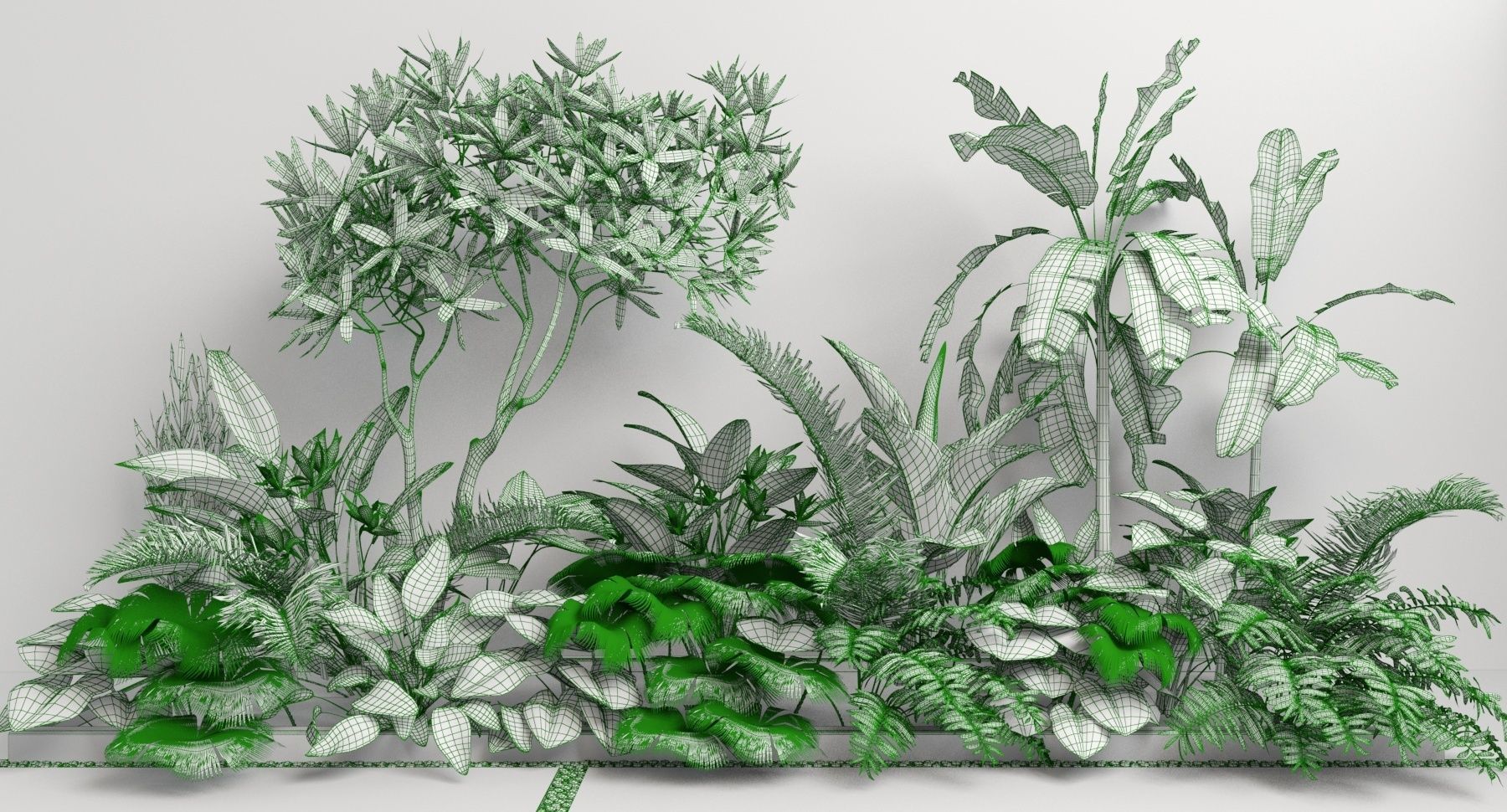 Tropic group of tropical plants 3D model | CGTrader