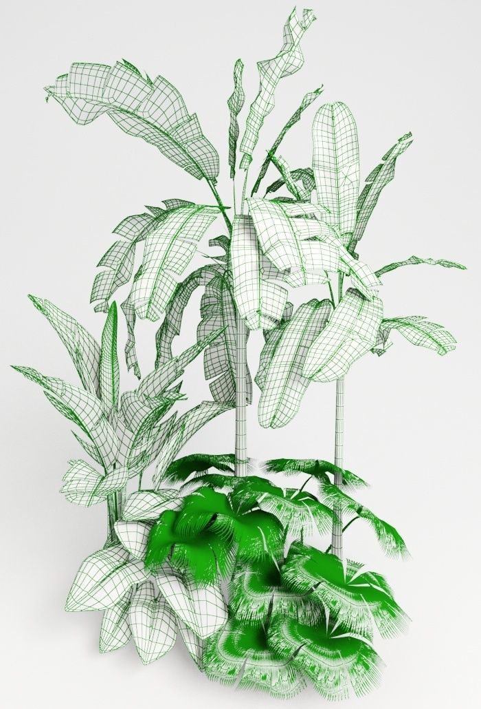 Tropic group of tropical plants 3D model | CGTrader