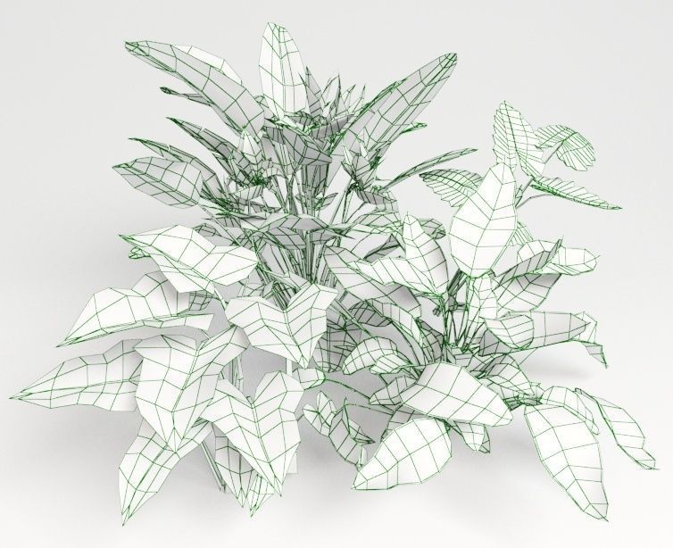 Tropic group of tropical plants 3D model | CGTrader