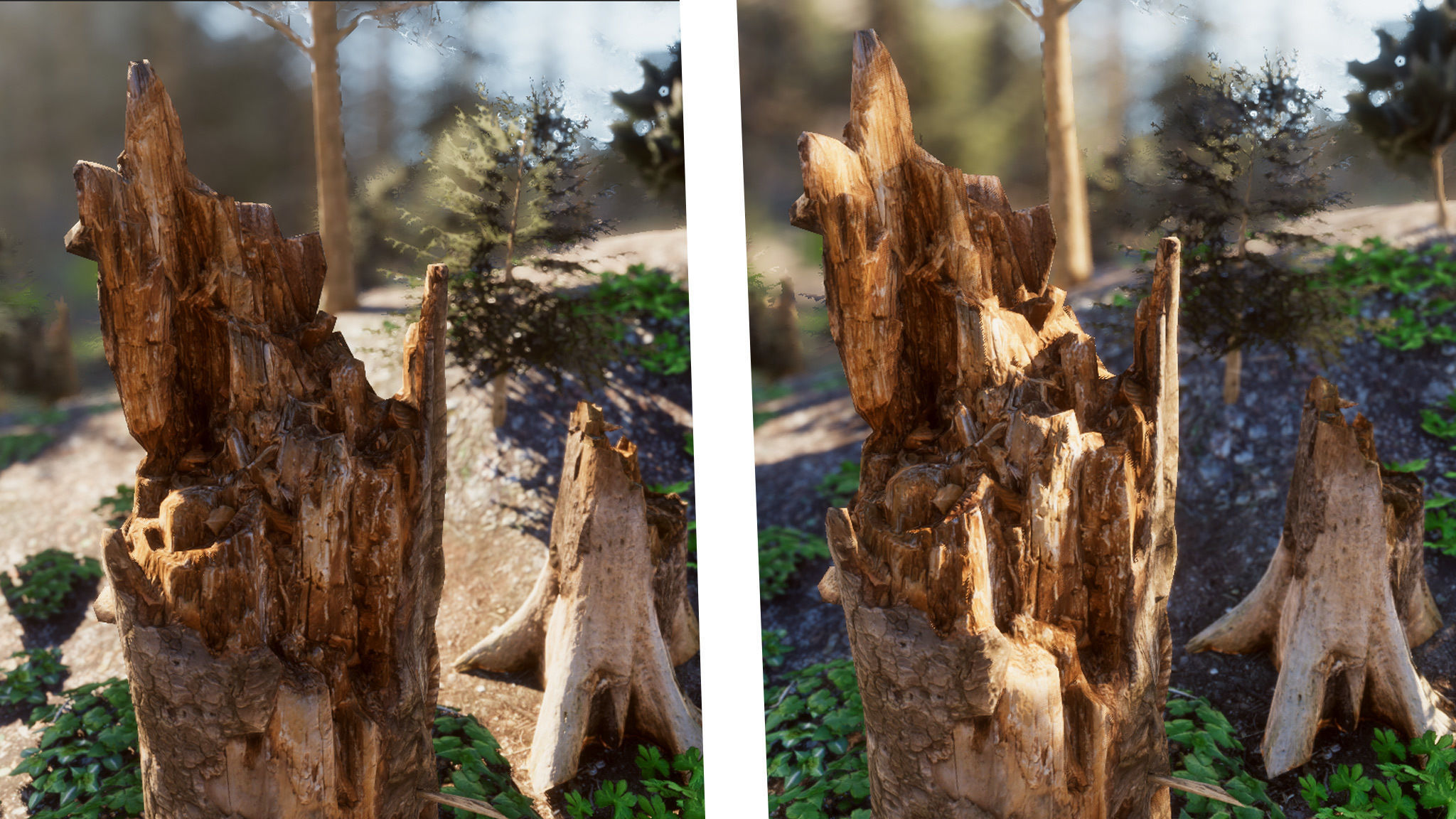 3D model 17 Photo-scanned Conifer Stumps VR / AR / low-poly | CGTrader