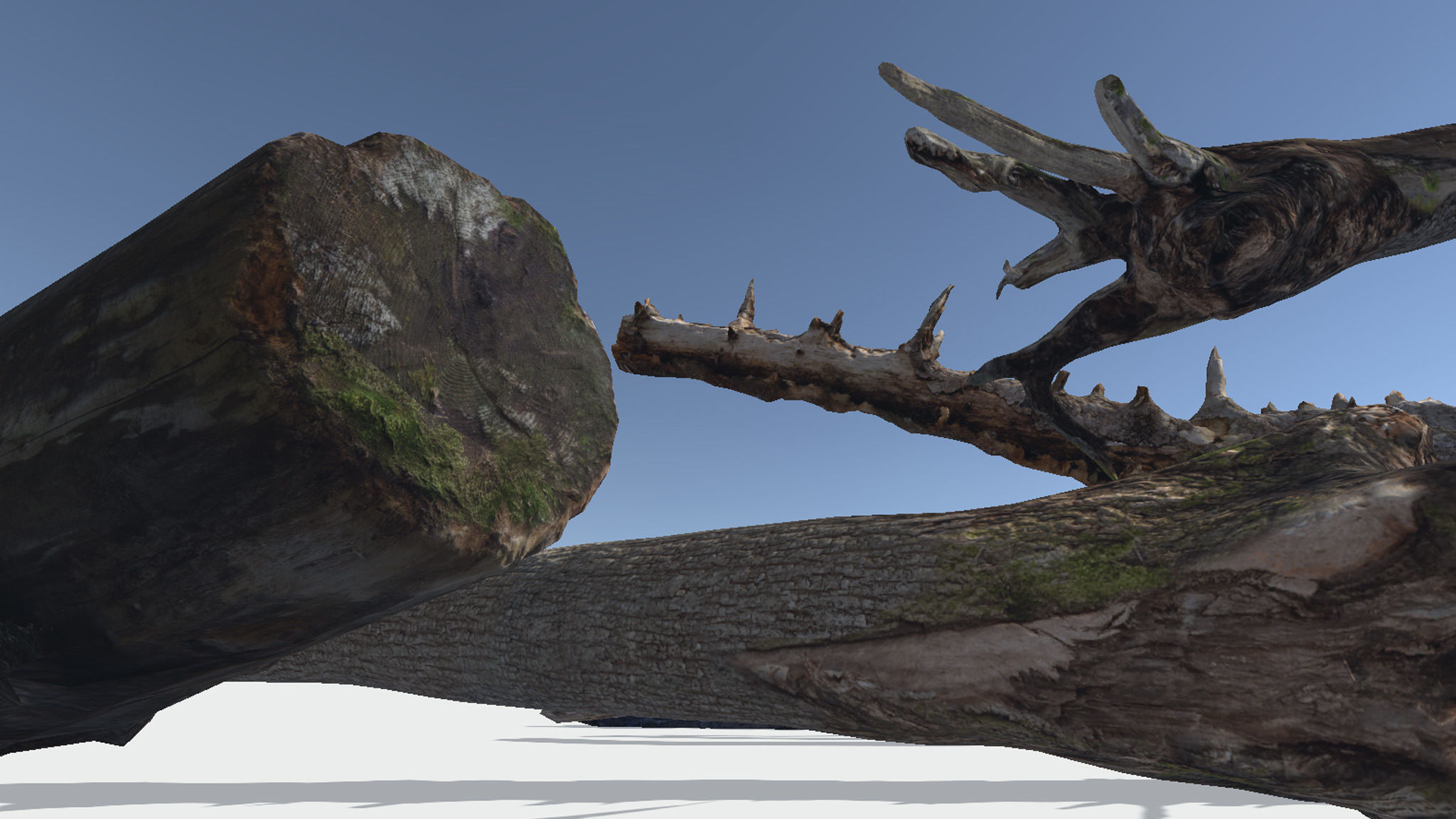 3D model Fallen Trunks from Forest VR / AR / low-poly | CGTrader