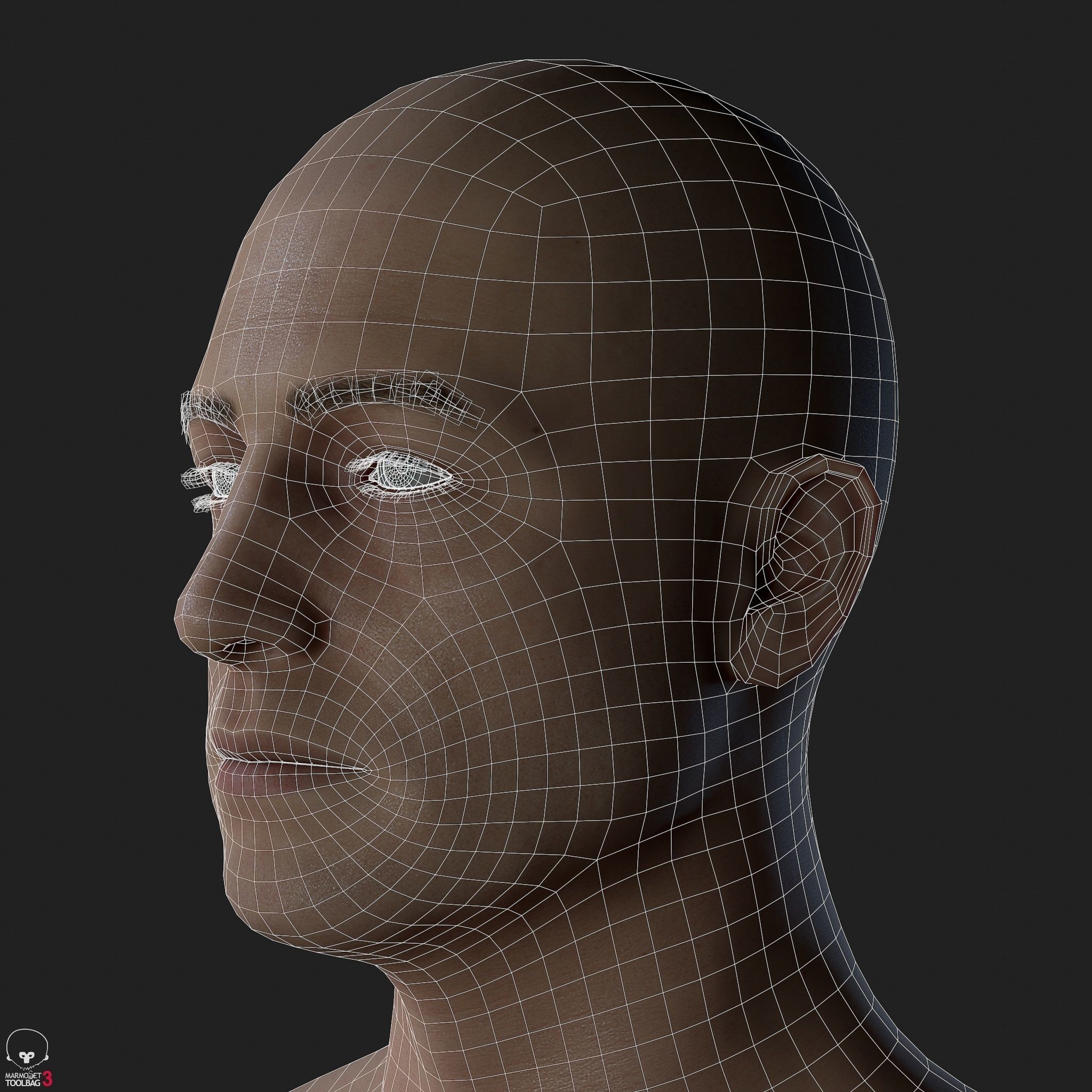3D model Average Caucasian Male Body VR / AR / low-poly | CGTrader