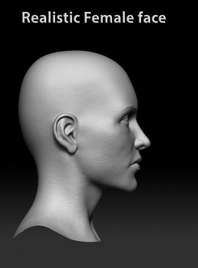 Female realistic face 3D model | CGTrader