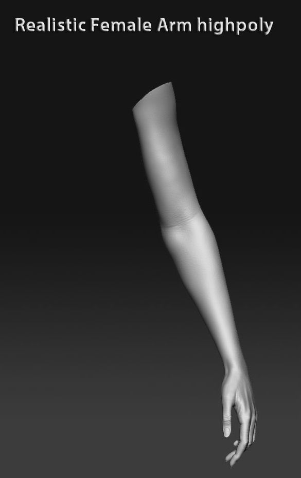 Realistic female arm highpoly 3D model | CGTrader