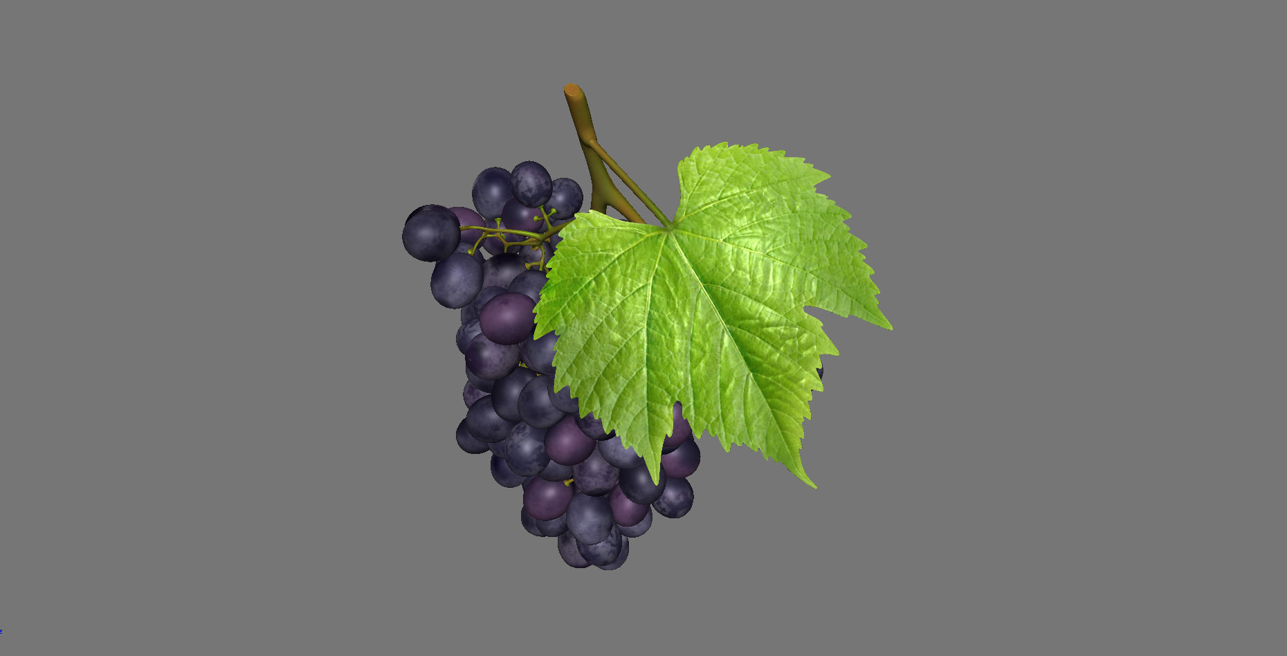 Grape grapes 3D model | CGTrader