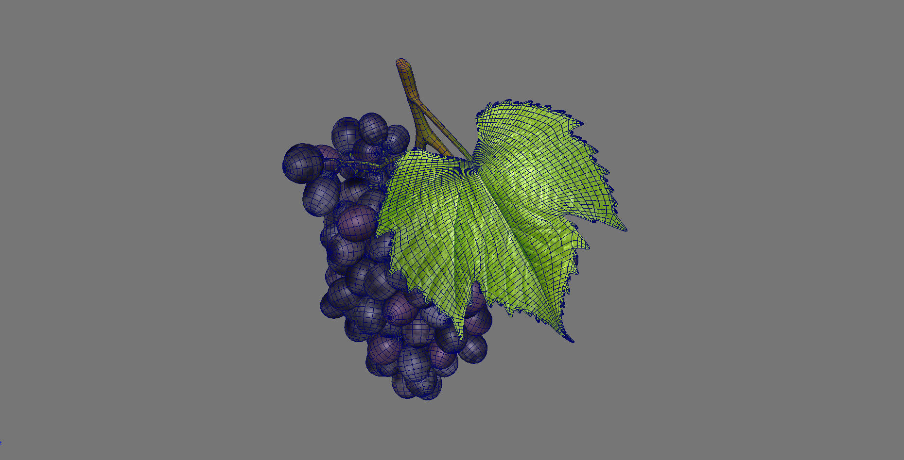 Grape grapes 3D model | CGTrader