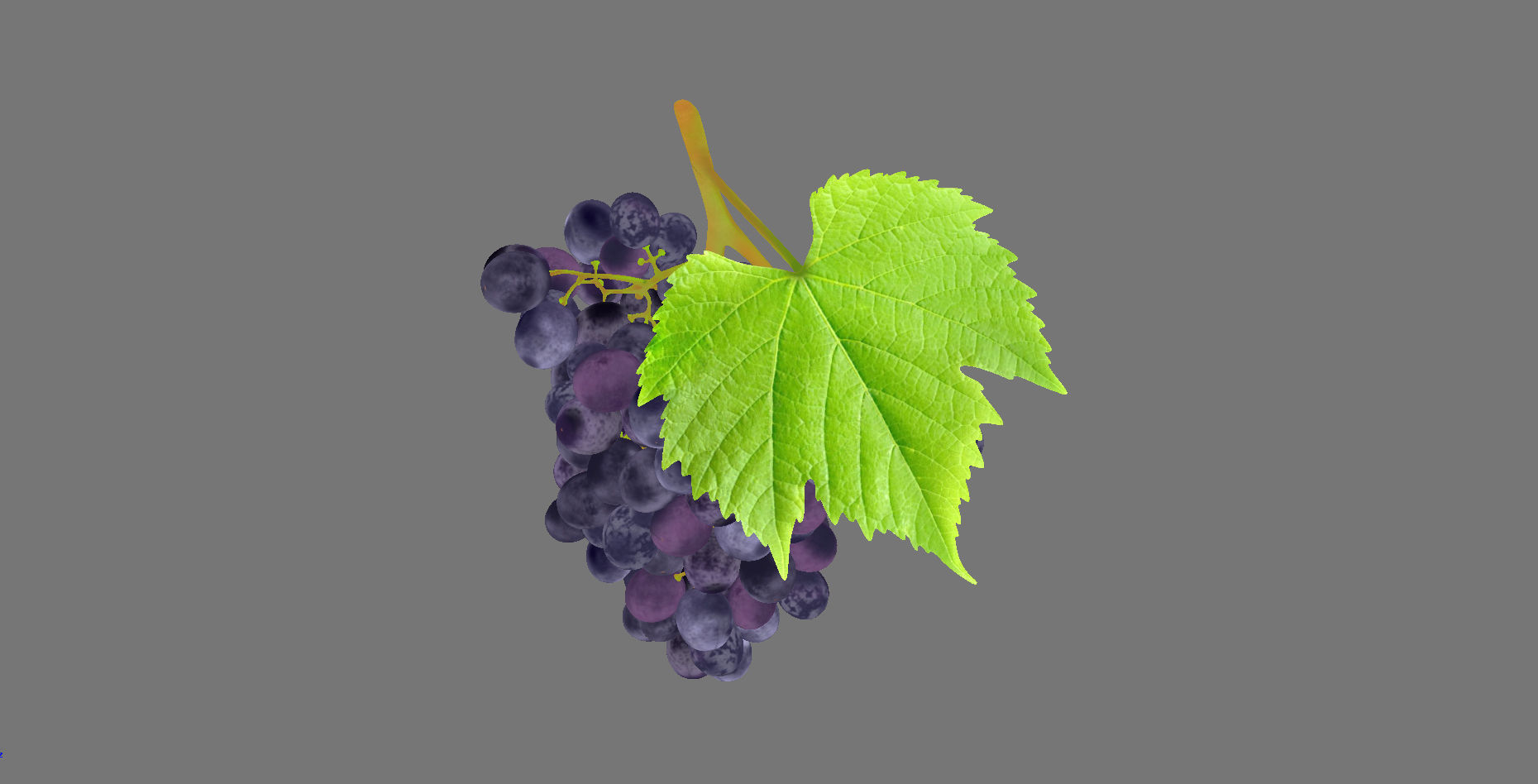 Grape grapes 3D model | CGTrader