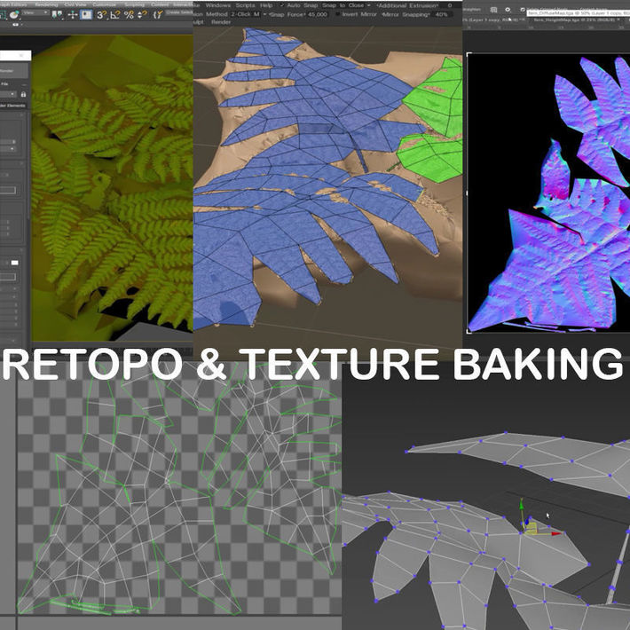 3Dcoat retopology of a photogrammetry fern model and texture baking in 3Dmax