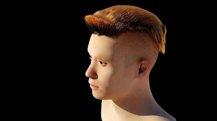 How to create hair with Blender's new hair system?